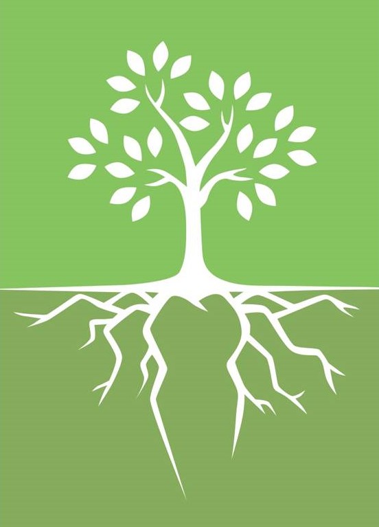 Greenspring Endodontics – Andrew M. Reff DDS